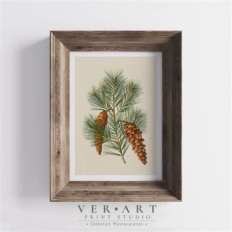 Vintage Pine Cone Wall Art Printable Pine Tree Branch Sketch Digital