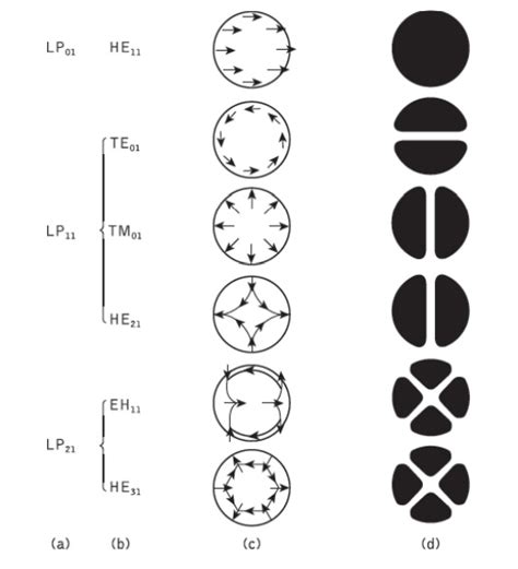 Cylindrical Fiber Modes Mode Coupling Step And Graded Index Fibers