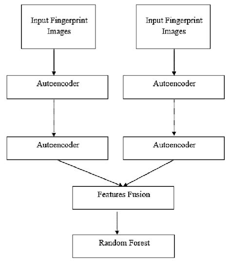 Stacked Deep Auto Encoder With Rf Classifier Download Scientific Diagram