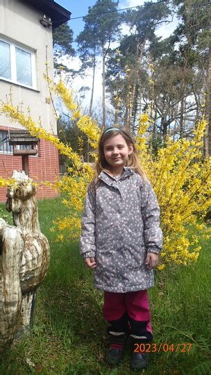 MŠ Šamotka MŠ Šamotka