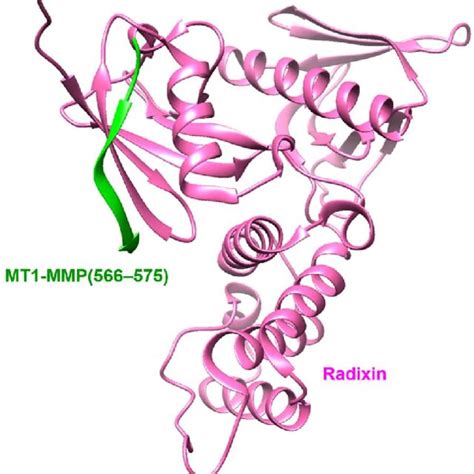 Types Of Protease Classes The 473 Human Proteases Are Shown By Their