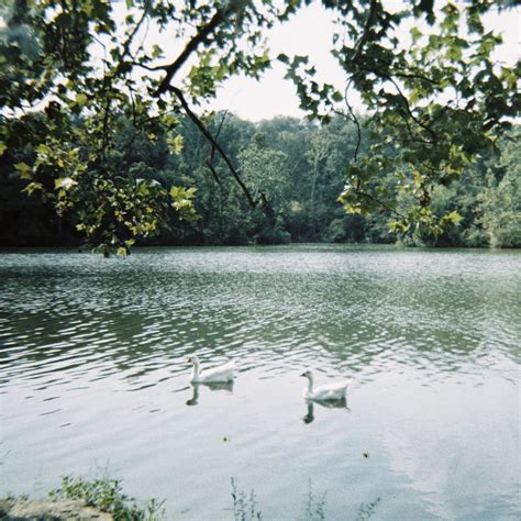 Summer Themes Noah Barker