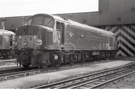 The Transport Library British Rail Diesel Loco Class 44 10 At Toton