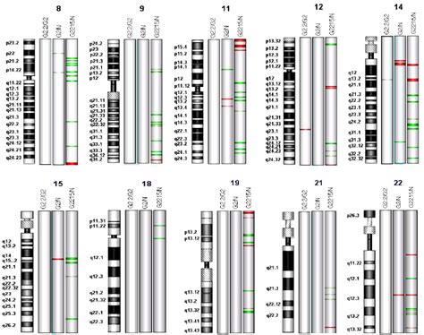 Comparison Of Copy Number Aberrations In Cell Lines Download