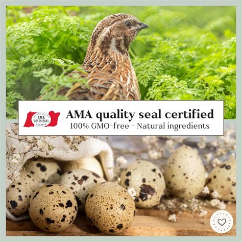 Laying Quail Feed 25 Kg Chicken Feed Agrarzone