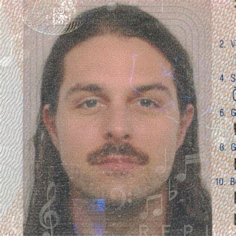 Ferdinand Lyrics Songs And Albums Genius