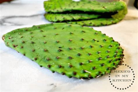 How To Cook Nopales Cactus Paddles Quick And Easy