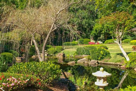 Brisbane Botanic Gardens Mount Coot Tha
