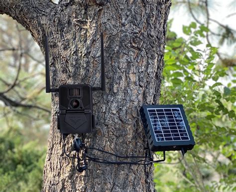 Choosing The Best Hidden Outdoor Cameras Barn Owl Tech