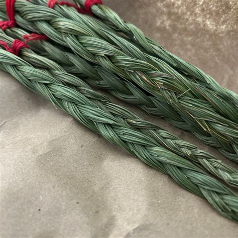 10 Freshly Braided Sweetgrass Braids Sweetgrass Hierochloe Odorata
