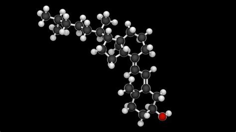 Drisdol Bilder Durchsuchen 861 Archivfotos Vektorgrafiken Und Videos