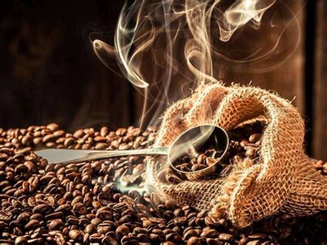 Daria Illy Cede Il 19 Delle Quote In Holding Illy Lasciando Lazienda Di Famiglia Il Nordest