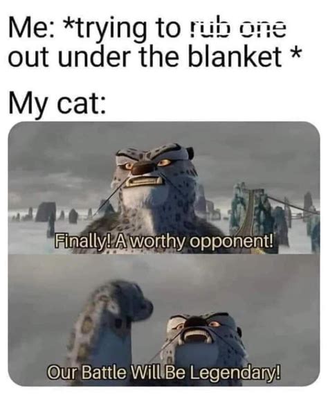 Why 😅😅 R Catmemes