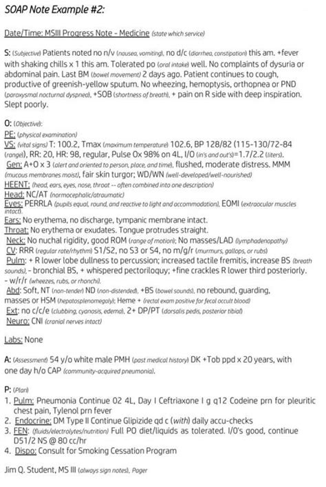 Editable Speech Therapy Soap Note Template Doc Example Notes Template