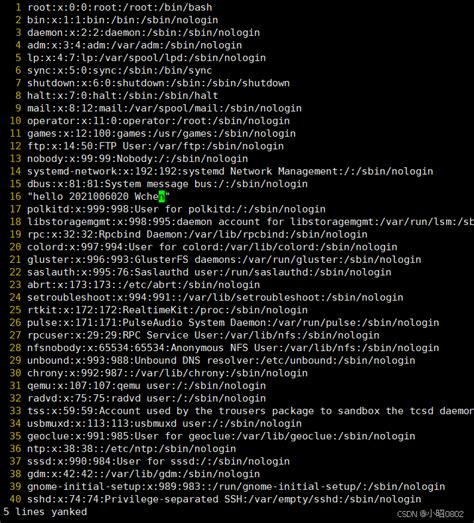 《linux基础》练习操作linux操作练习 Csdn博客