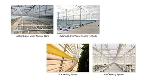 Plant Propagation Structures Pptx