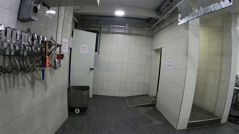 Prerada Mesa Beko 2 Youtube