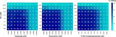 Figures And Data In Synergistic Effect Of Inhibiting Chk2 And Dna Replication On Cancer Cell