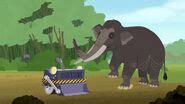 Elephant Brainsgallery Wild Kratts Wiki Fandom