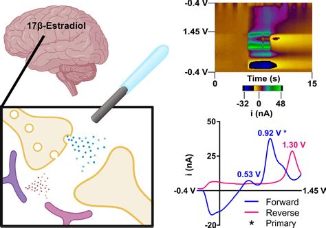 Electroanalysis Vol 35 No 9