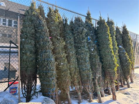 20e Groupe Scout Du Triangle Quebec Qc