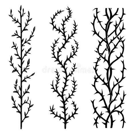 Illustration Of Various Plant Branches With Thorns And Leaves Hand