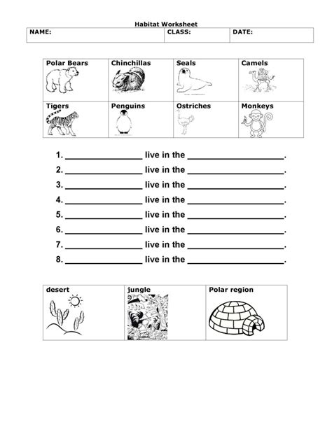 Science Worksheets For 1st Grade Free