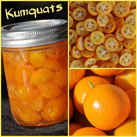 Kumquats Cut In Half Give Each Half A Squeeze To Pop Seeds Out Then