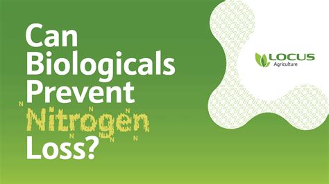 3 Ways Biologicals Prevent Nitrogen Loss