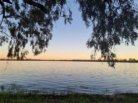 Xperts Join Algae Control Australias Science Advisory Board