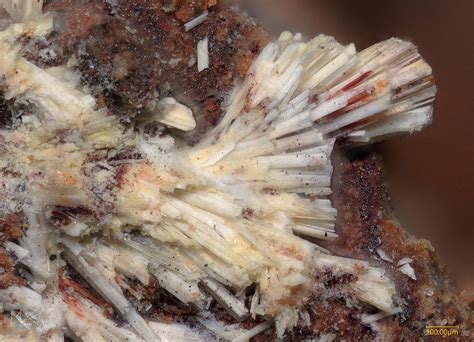 E Rocks Mineral Auctions