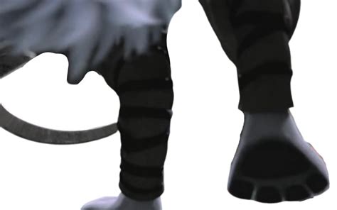 Death Wolf Feet By Dracoawesomeness On Deviantart