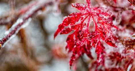 Liveliness Why Most People Are Not Alive In Life