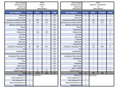 Can Someone Interpret This Mold Chart R Moldlyinteresting