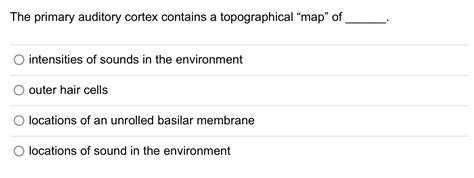 Solved The Primary Auditory Cortex Contains A Topographical