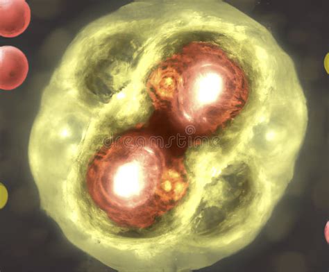 Human Embryo Illustration Stock Illustration Illustration Of Human