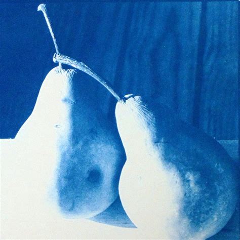 Two Pears Still Life Cyanotype Sunprint Photograph By Sarah Black