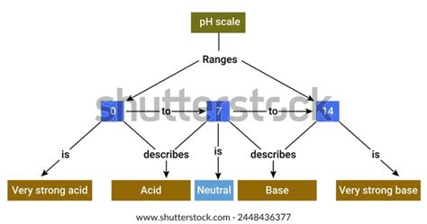 Measure Concentration H Ion Stock Vector Royalty Free 2448436377