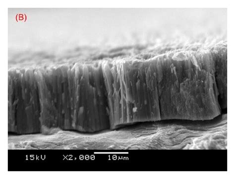 Morphologies Of The Tio2 Nanotube Arrays Grown On Electrochemical Download Scientific Diagram