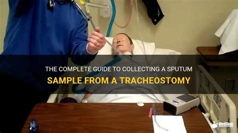 The Complete Guide To Collecting A Sputum Sample From A Tracheostomy