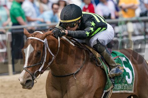 Black Eyed Susan And Preakness Day Bloodhorse Photo Store