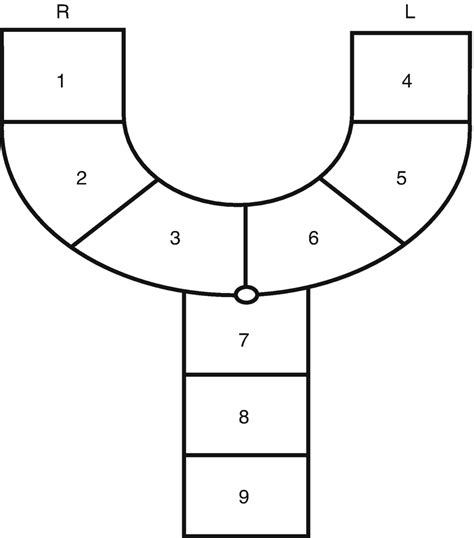 Lip And Palate Pocket Dentistry