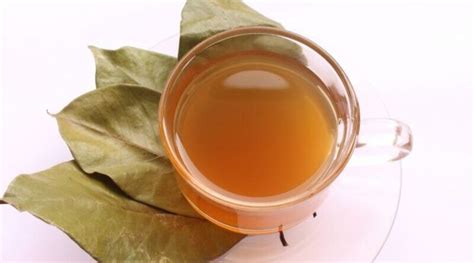 The Best Things About Soursop Tea Flavour Salt