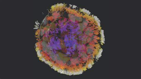 Scientists Develop Self Assembling Biological Robots That Help Heal