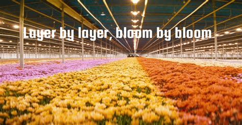 Network Middleware In Go Hands On Guide 2025 By Aleksei Aleinikov Jul 2025 Level Up Coding