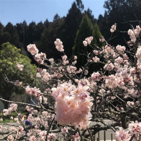 Phoebe Chen Phoebecchen • Threads Say More