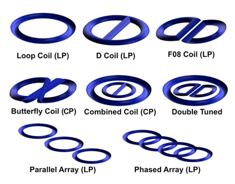 Receive Only Mr Coils Questions And Answers In Mri