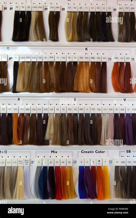 Salon Hair Dye Colour Chart Ponasa