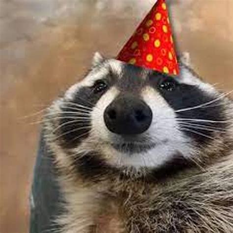 Cooner Dinopedia The Game Wiki Fandom