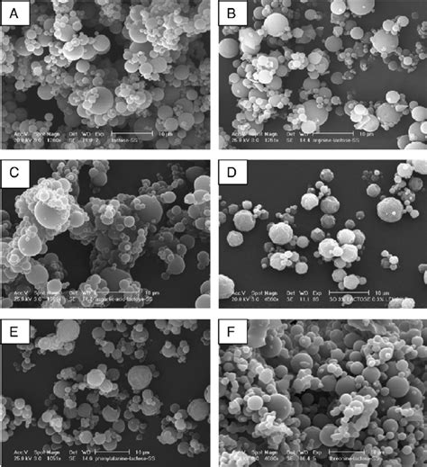 Representative Scanning Electron Micrographs Of Control And Amino